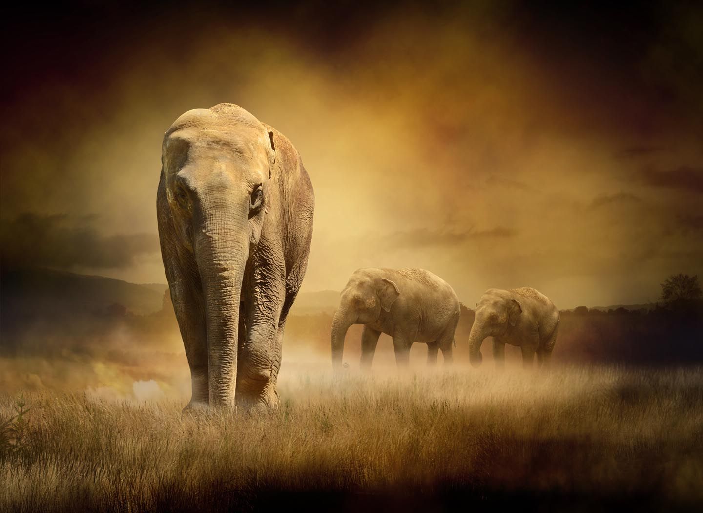 Laziness in Meditation in Self Help - The 2 Types and How to Overcome Them