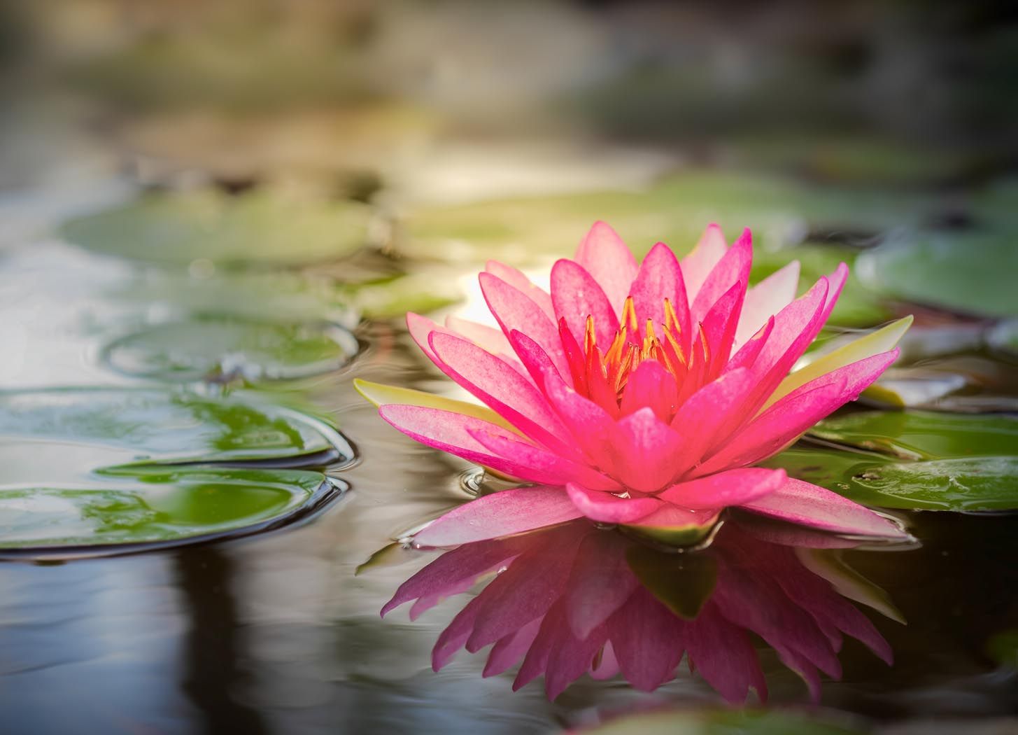 Negativity - 5 Ways To Beat It And Constantly Stay Positive