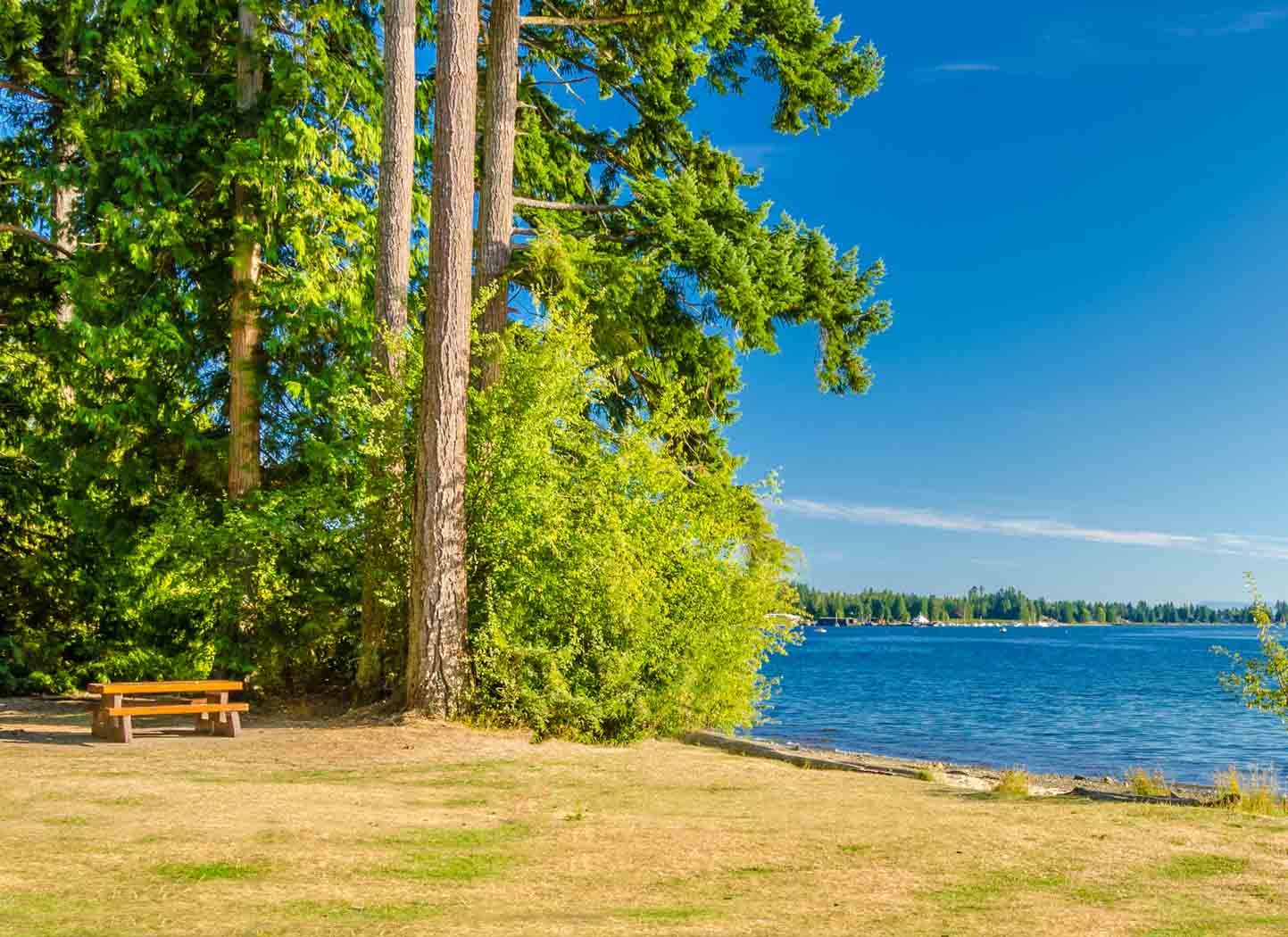 What Is Boredom - Best things to do when bored - os.me