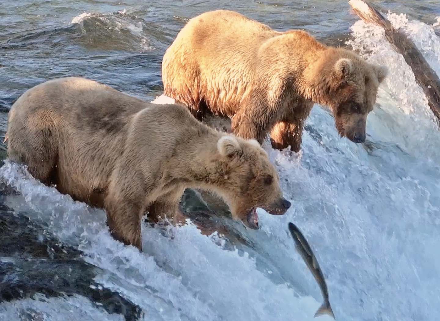 Personal vs. Private in Spirituality, Self Help & Misfits - os.me - A ...