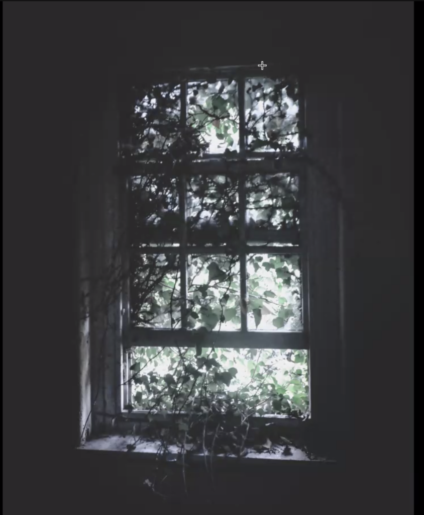 A Dark and Cluttered Window: A Snapshot Into Our Lives? in My Story - os.me