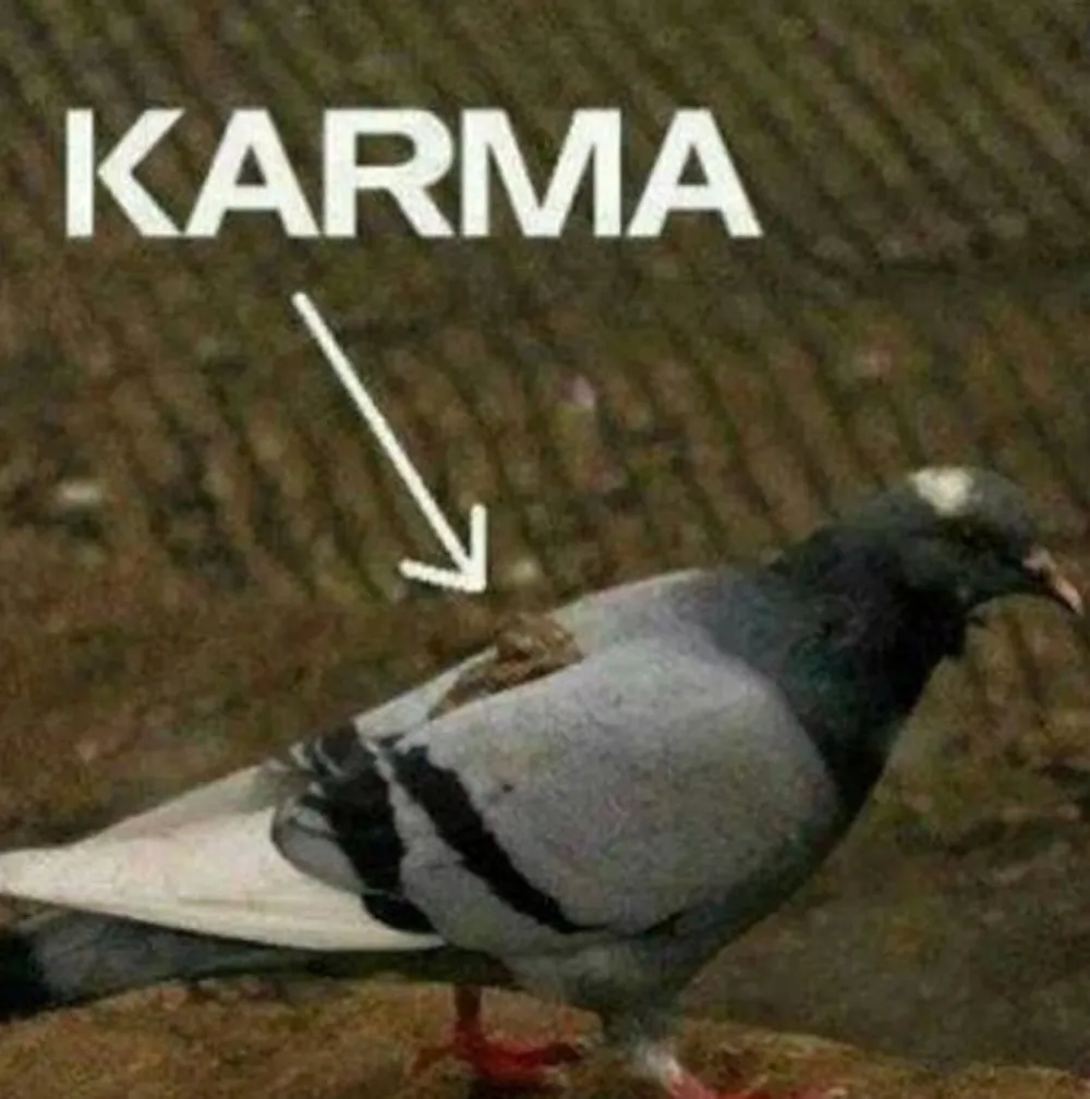 27 Karma Memes To Make You Think and Smile