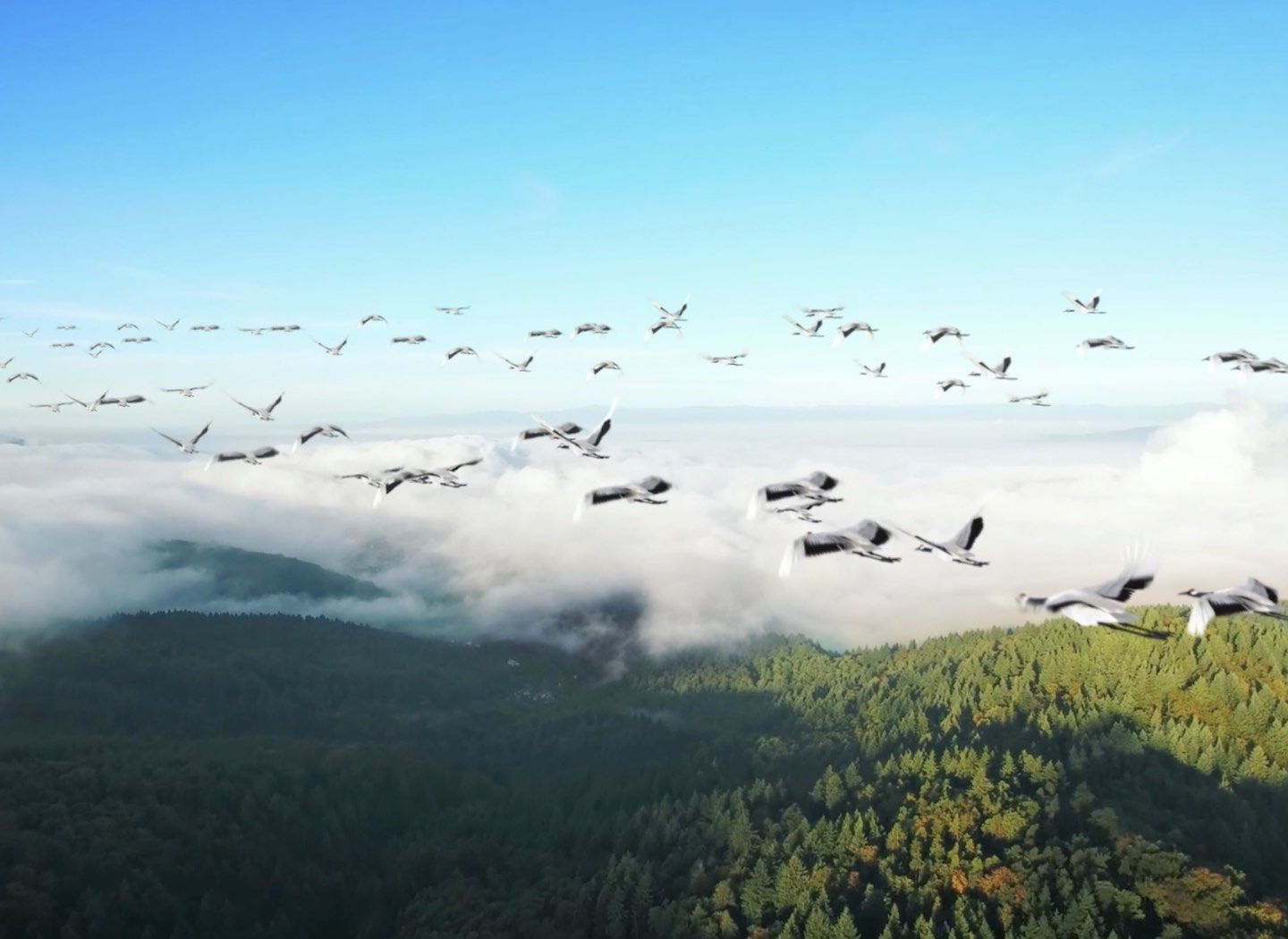 The Clever Adulteress by Om Swami - os.me - A Spiritual Home